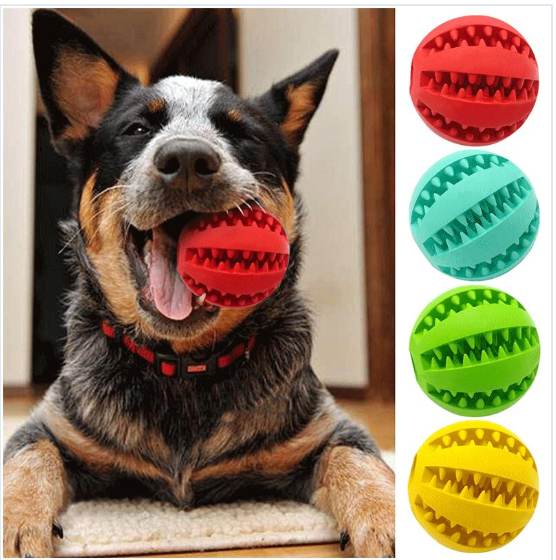 How to Choose the Right Toys for Your Dog – PetTastic